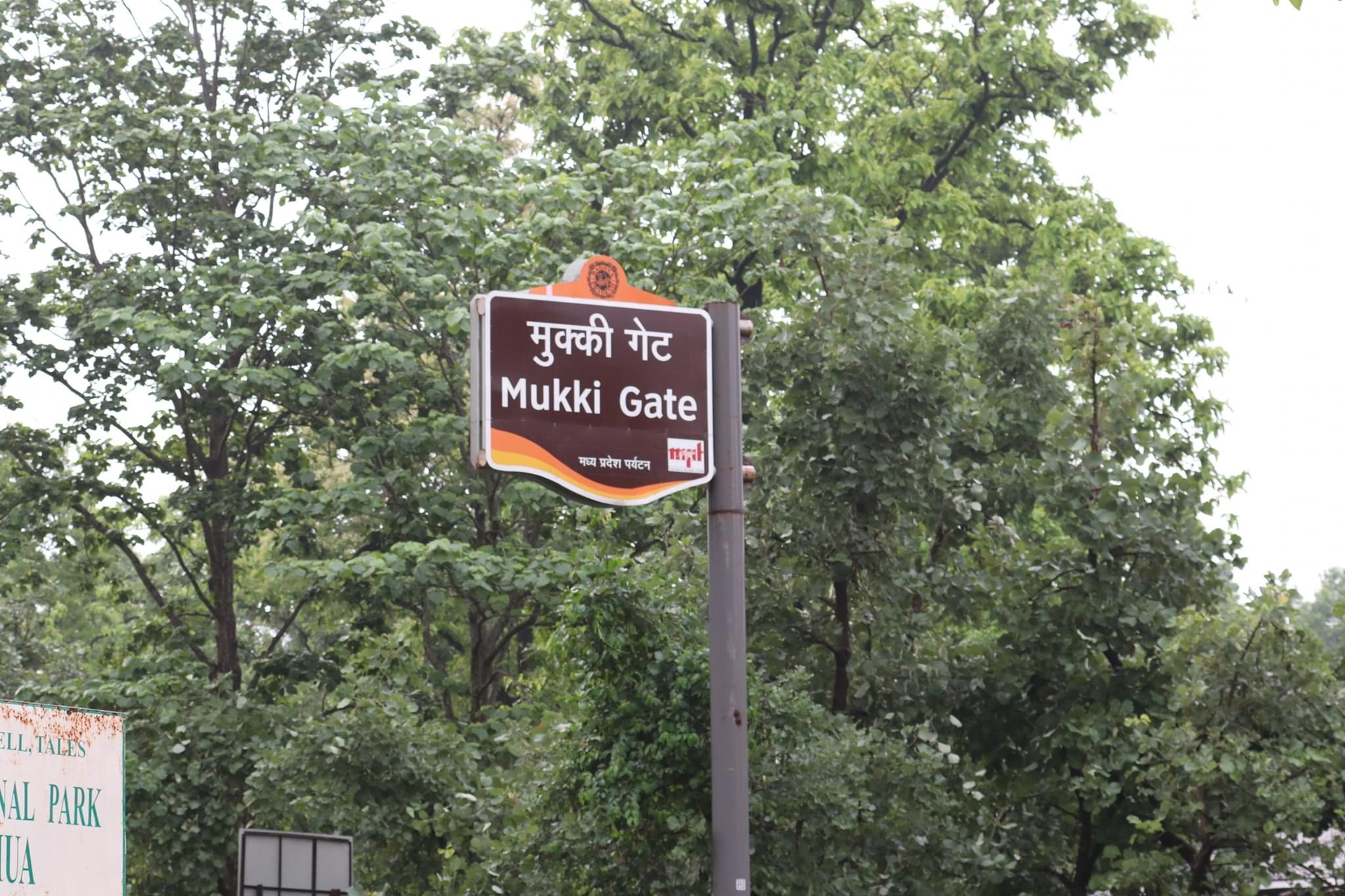 Kanha National Park, Kanha Tour Package, MP tourism guide on Kanha ...