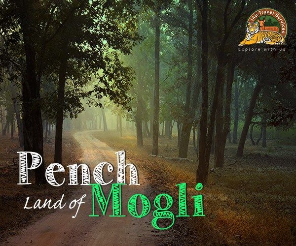 Things to do in Pench National Park, Activities in Pench National Park