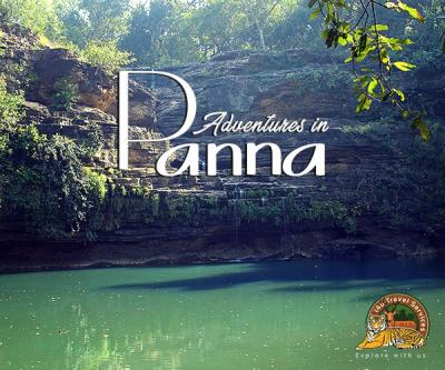 Geographic location and area of Panna National Park