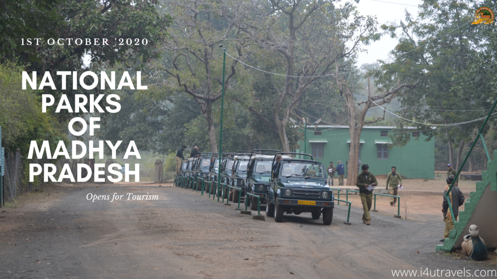 Jungle Safari Booking for the National Parks of Madhya Pradesh - Season ...